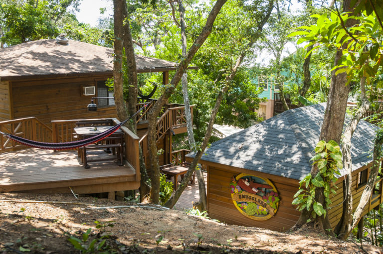 Turtle Beach – Turtle Beach Dive Resort, Roatan